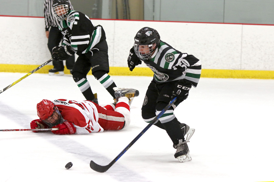 Photo Albums - Hockey 2017/2018