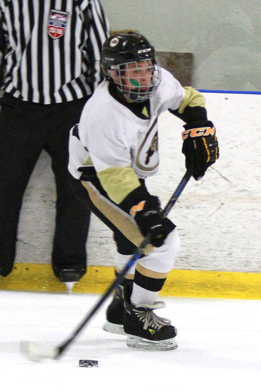 Photo Albums - Hockey 2015/2016