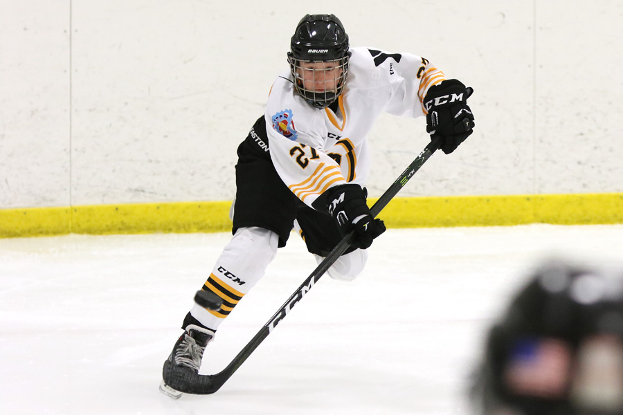 2016 - 2017 - Jr Buffs Bantam A